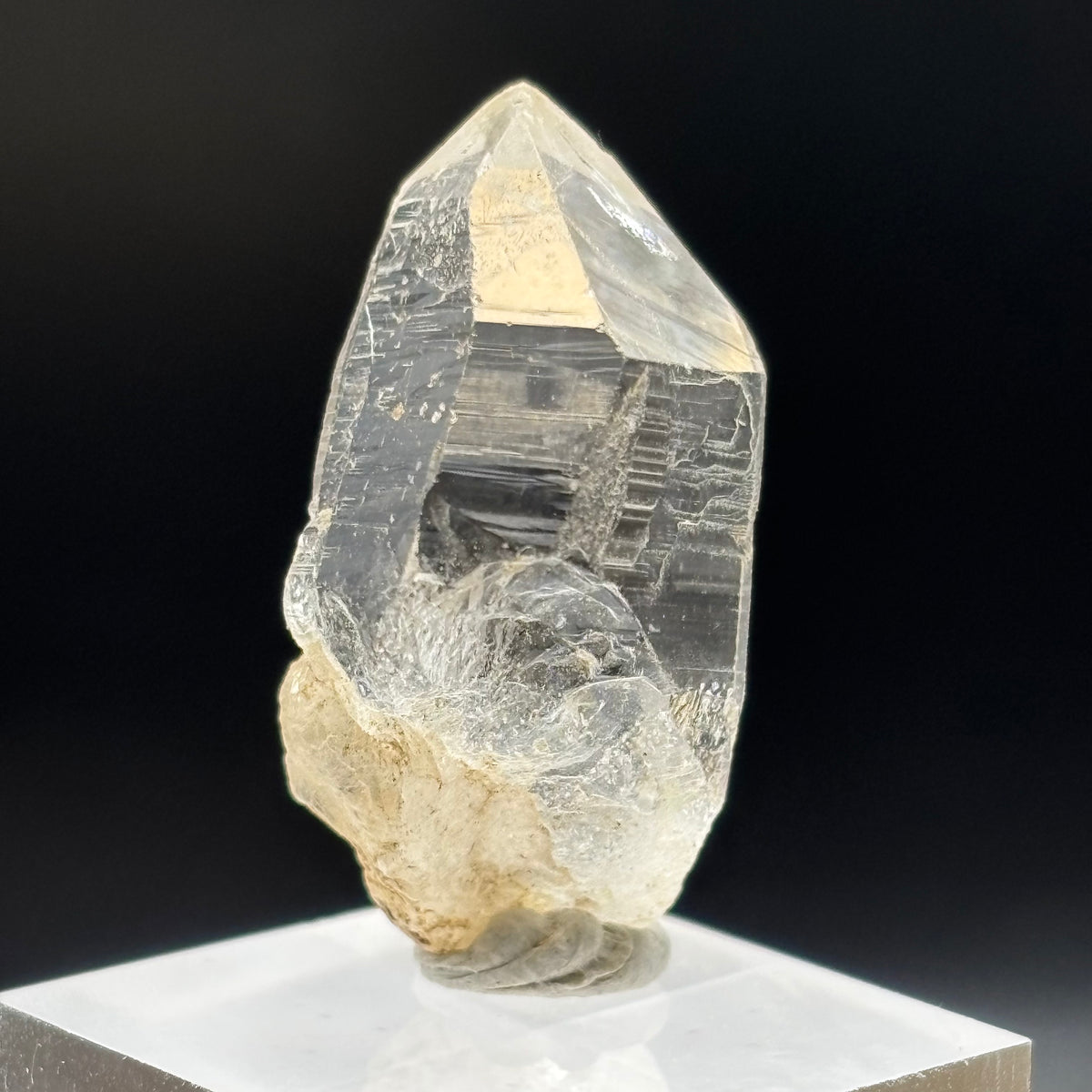 Himalayan Master Healer Quartz - 224 | Clarity Crystal Shop
