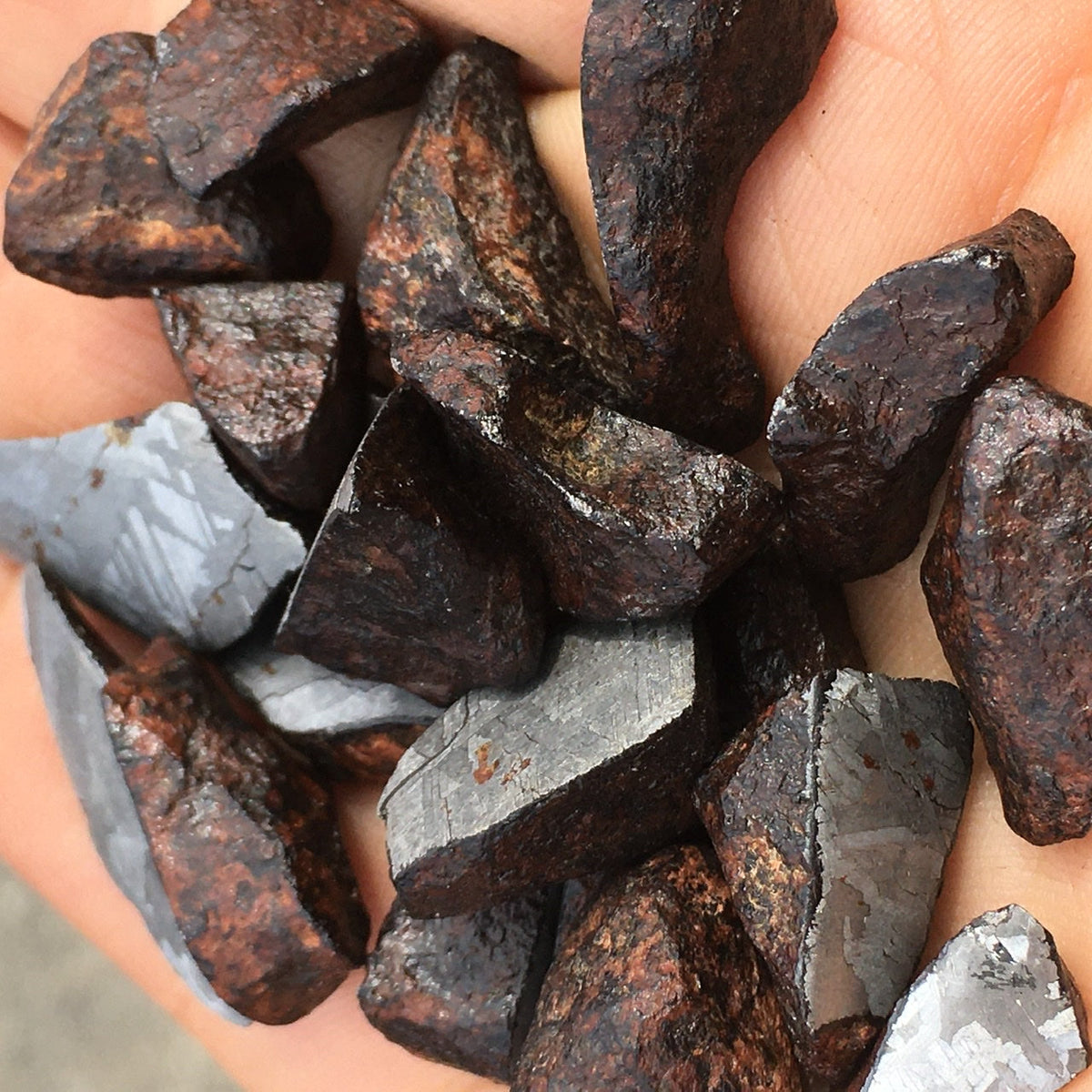 Meteorite, Half-Polished | Clarity Crystal Shop
