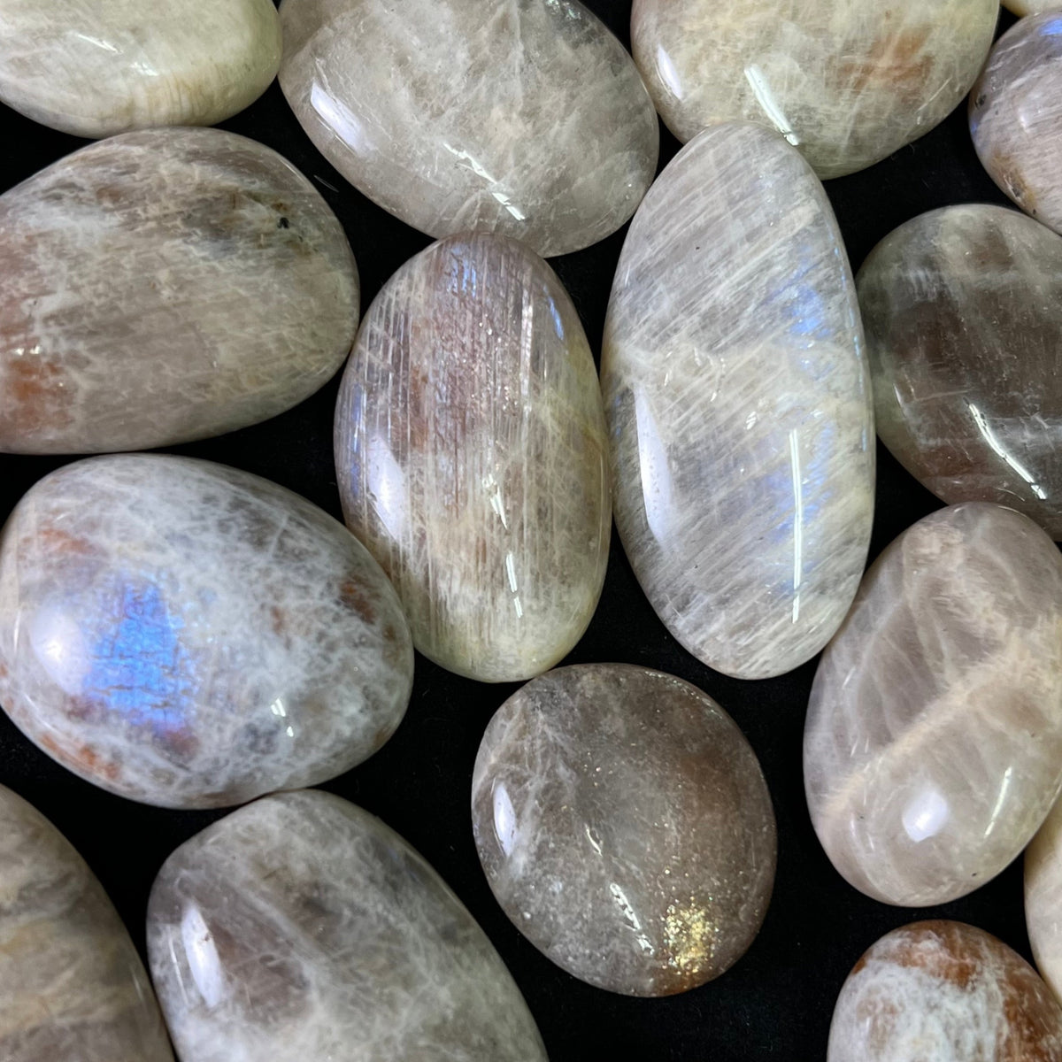 Sunstone Moonstone, Kit of 5 | Clarity Crystal Shop